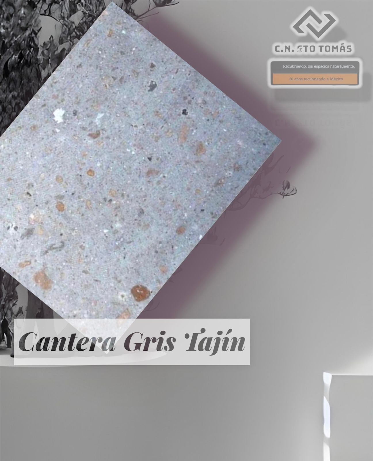 Cantera Gris Tajín – Canteras Naturales Santo Tomás